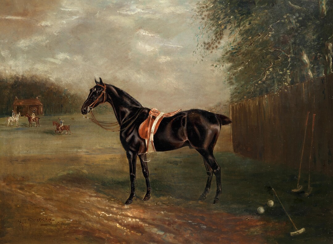 Henry T. Partridge Portrait of a Polo Pony, 1891 Painting Poster Canvas ...