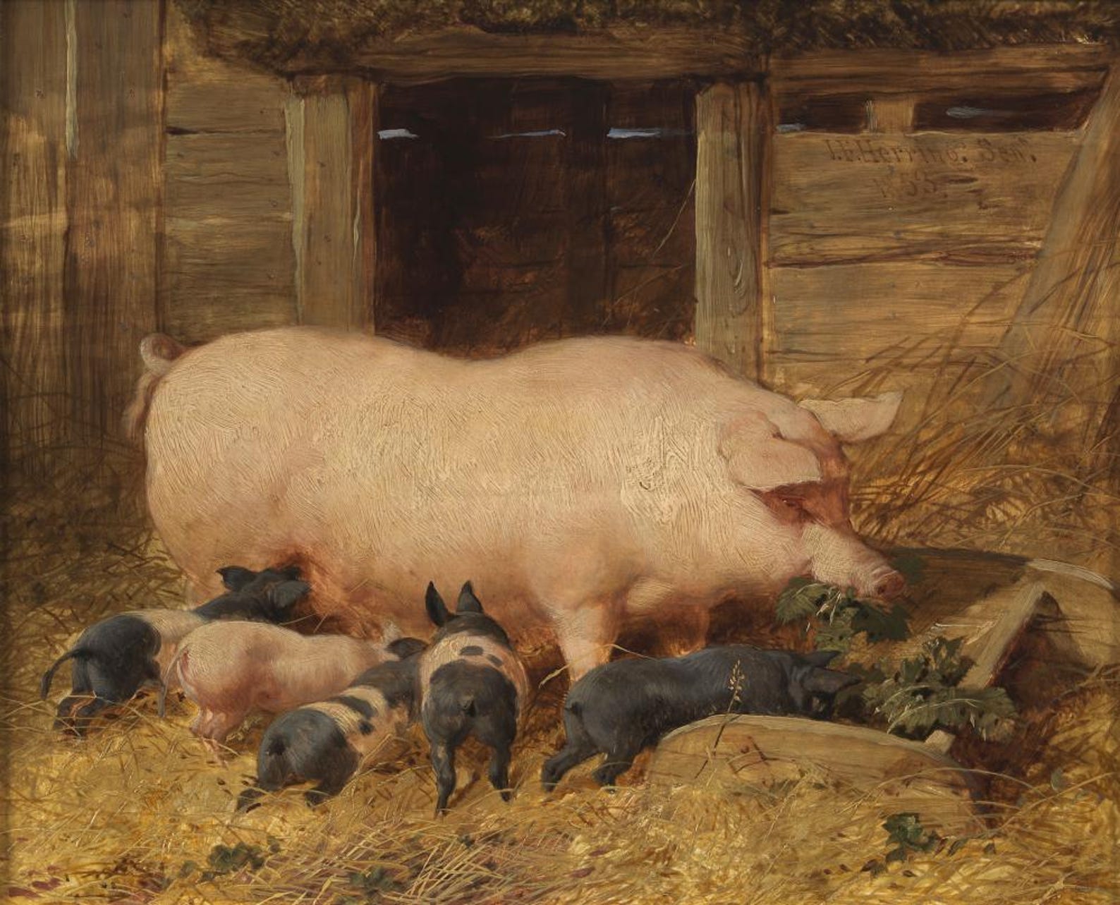 John Frederick Herring Sr. Sow With Her Piglets at a Trough, 1853 ...