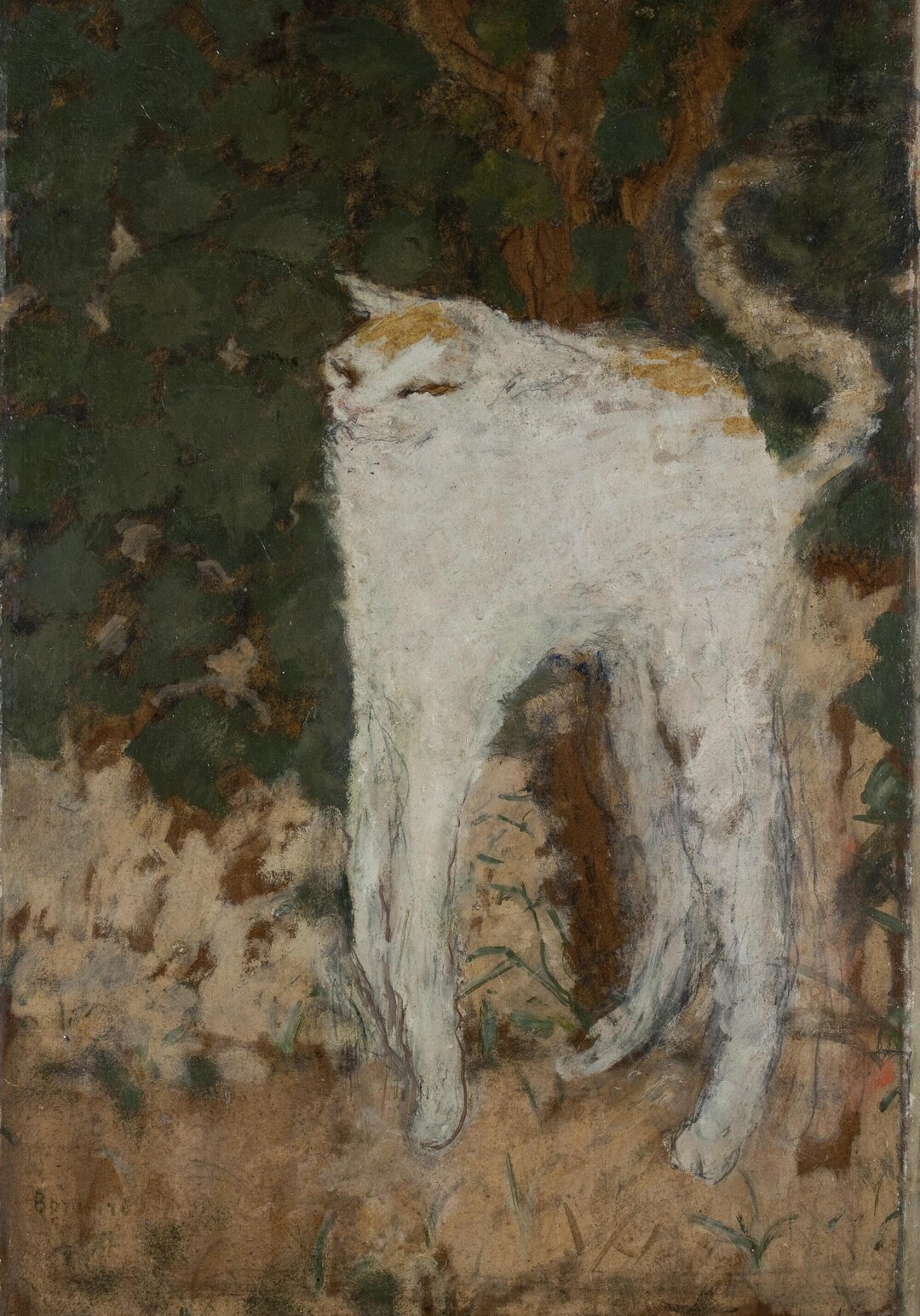 Pierre Bonnard the White Cat Painting Poster Canvas Print Textured ...