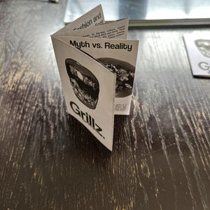 DIY Mini Zine 'grillz Over the Years' Mini Zine PDF Digital Download ...