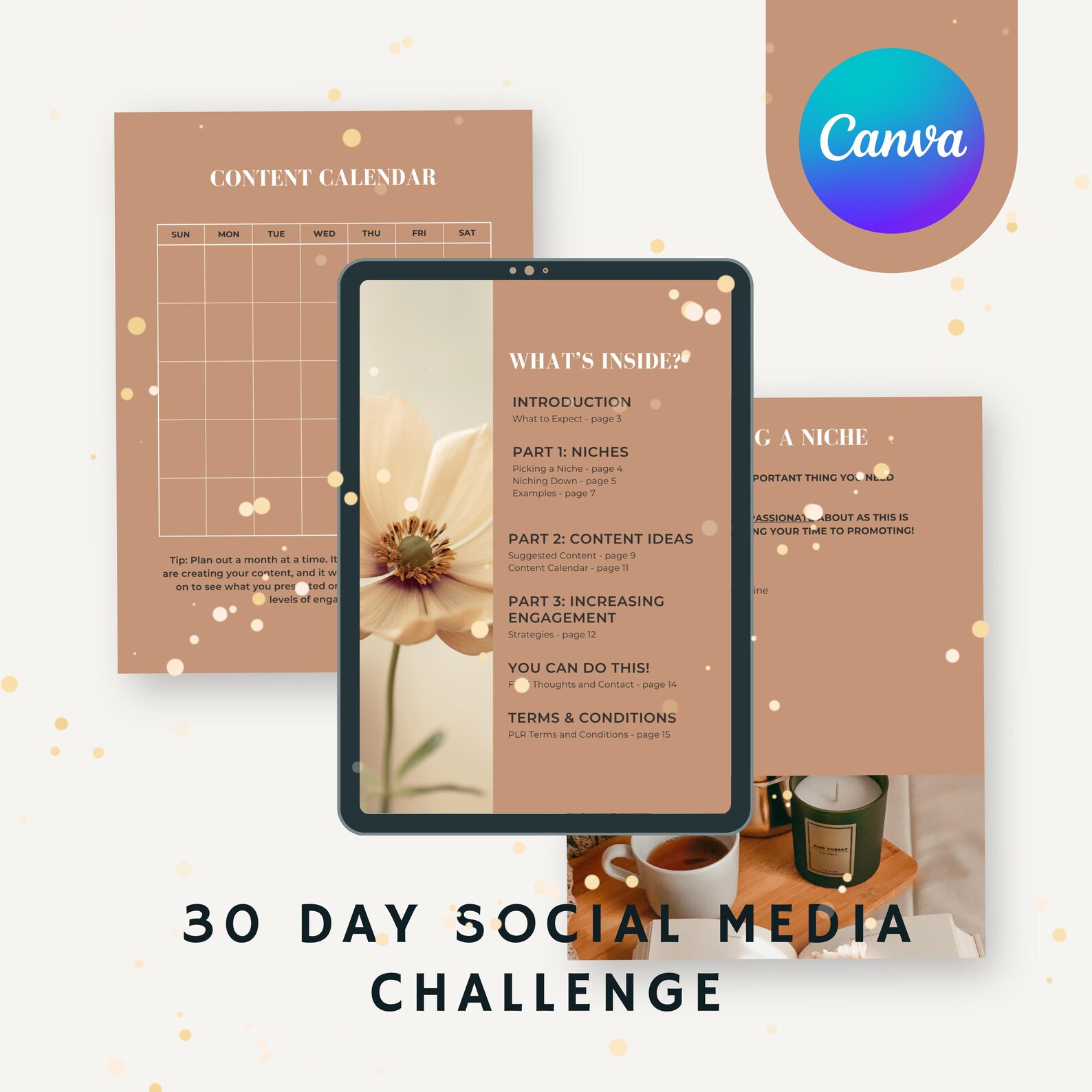 30 Day Social Media Challenge With PLR - Quick Start Digital Marketing ...