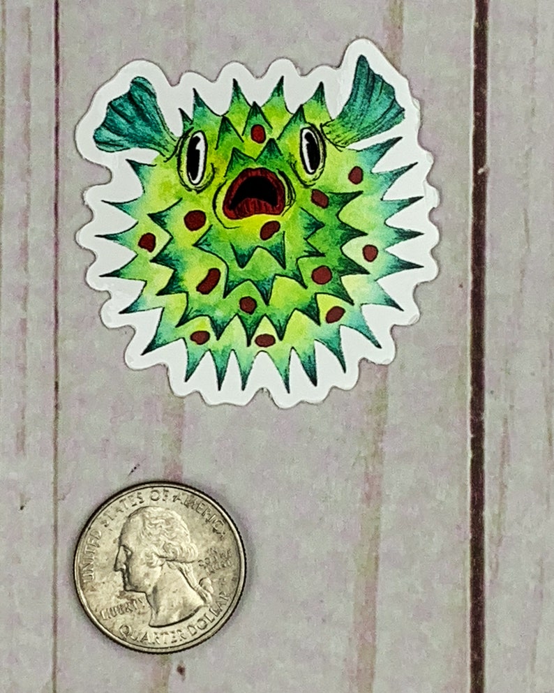 Fish Decal Set Vinyl Decals Laptop Decals Water Bottle Decals - Etsy