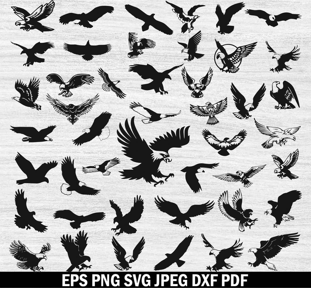 Eagle Svg Bundle, Flaying Eagle Svg, Eagle Clipart, Egale Cut Files for ...