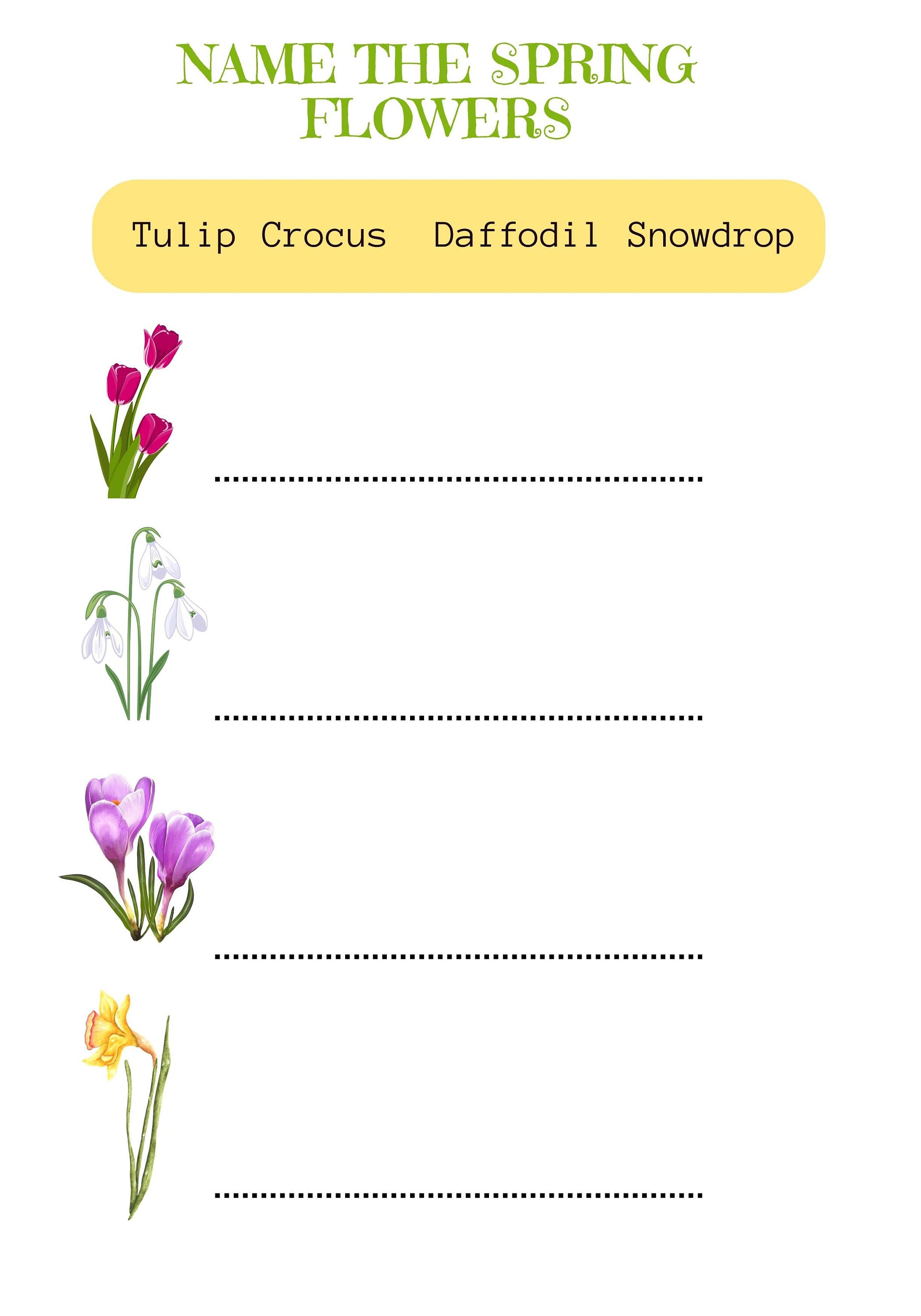 Spring Activity Sheets, Coloring Pages Preschool Homeschool ...