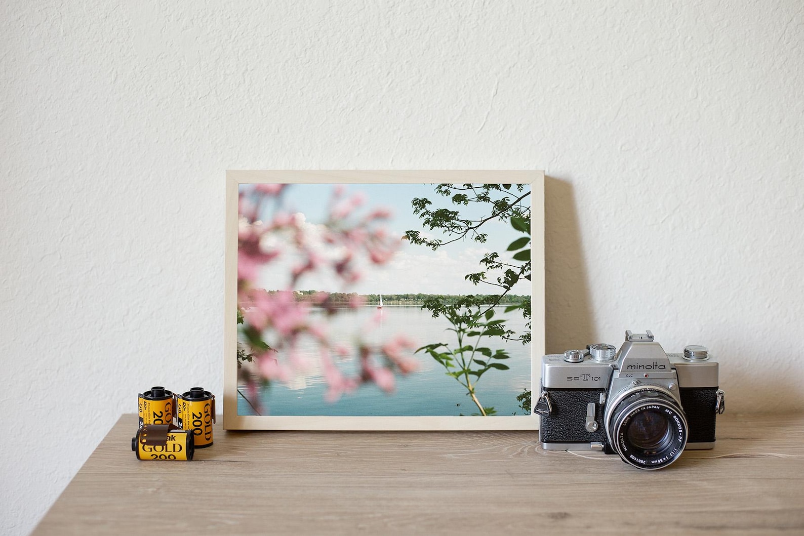 Lake Harriet Sailboat Print, Minnesota Photography, Modern Wall Art - Etsy