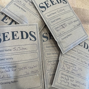 Straight 8 Cucumber Seed Heirloom, Non-gmo, Fast Shipping, Food ...