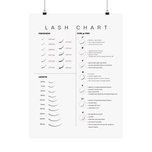 Lash Extension Chart Poster, Eyelash Tech Visual Guide Decoration ...