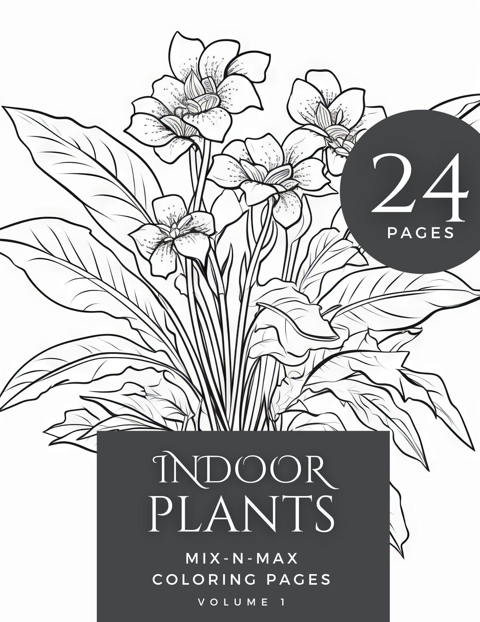 Indoor Plants Coloring Book - Etsy