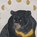 Moon Bear Print - Etsy
