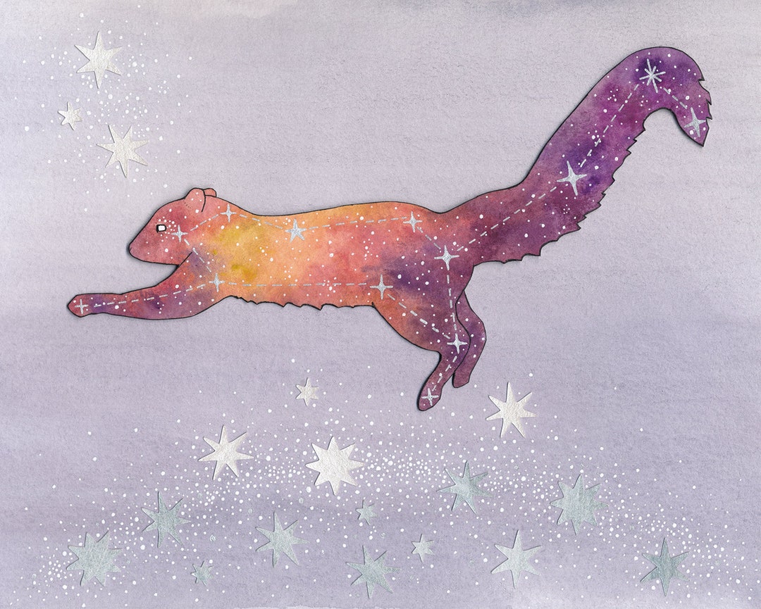 Squirrel Constellation Print - Etsy