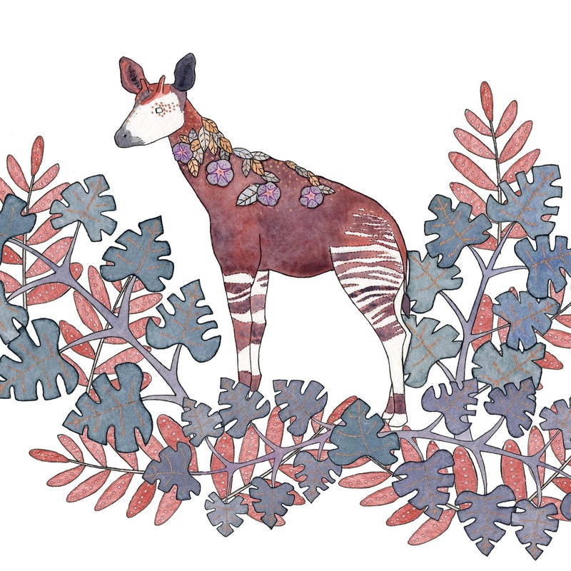 Okapi - Etsy