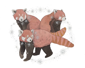 Red Panda Fireworks Print | Etsy