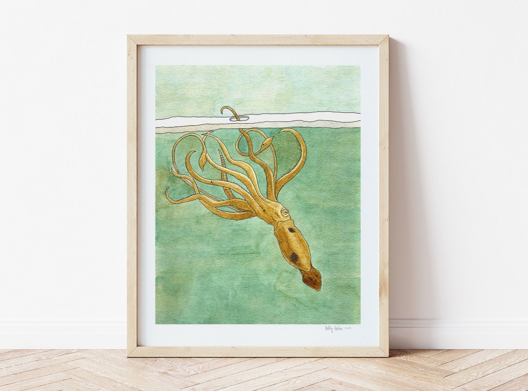 Squid Print- "a Rigid Search"- Unframed - Etsy