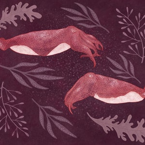 Red Cuttlefish Print, Unframed - Etsy
