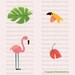 Cute Tropical Pink Flamingo Clipart Bundle, 15 Floral Tropical Birds ...