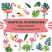 Cute Tropical Pink Flamingo Clipart Bundle, 15 Floral Tropical Birds ...
