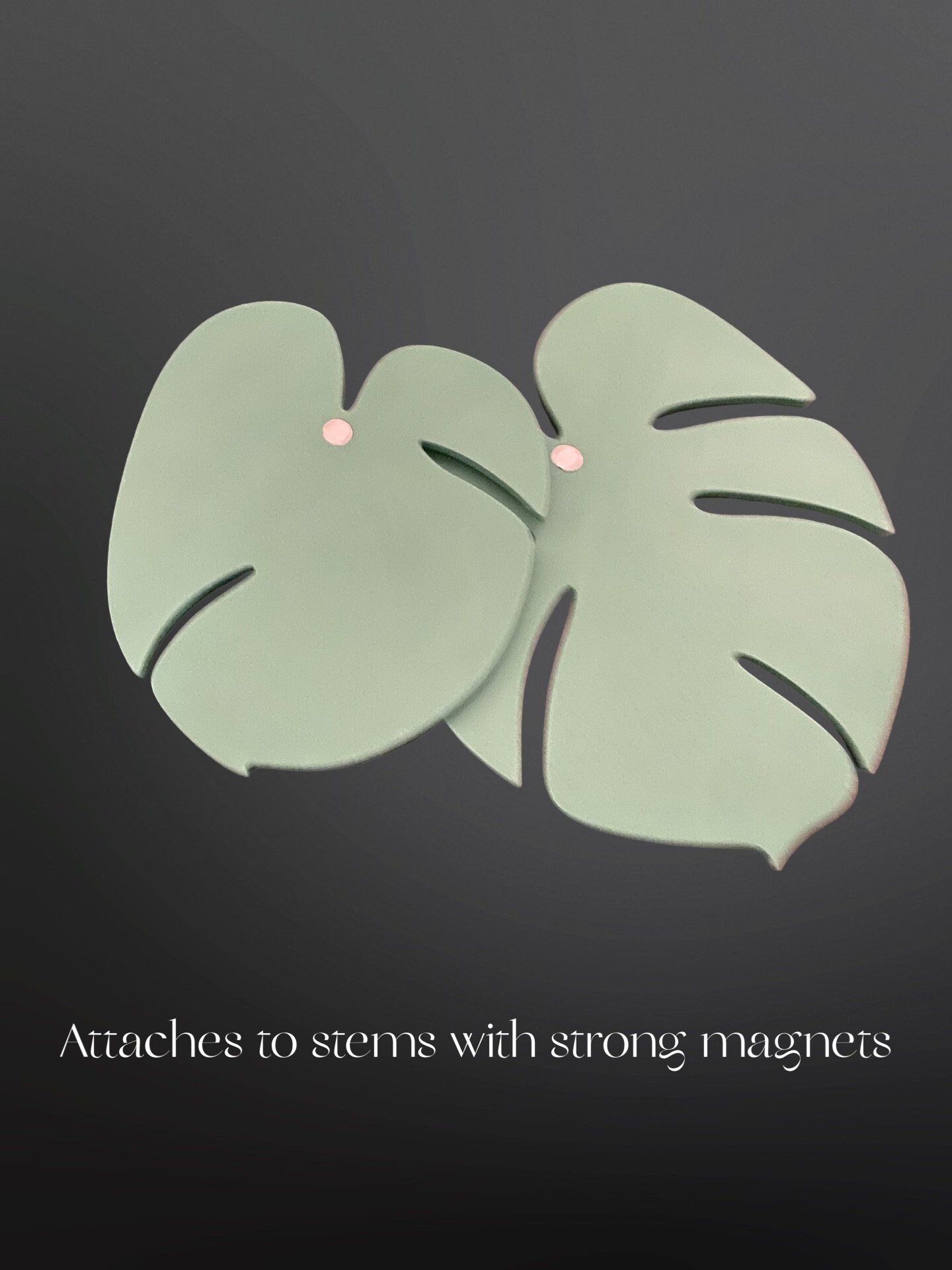 Realistic 3D Printed Monstera Coaster Set - Etsy