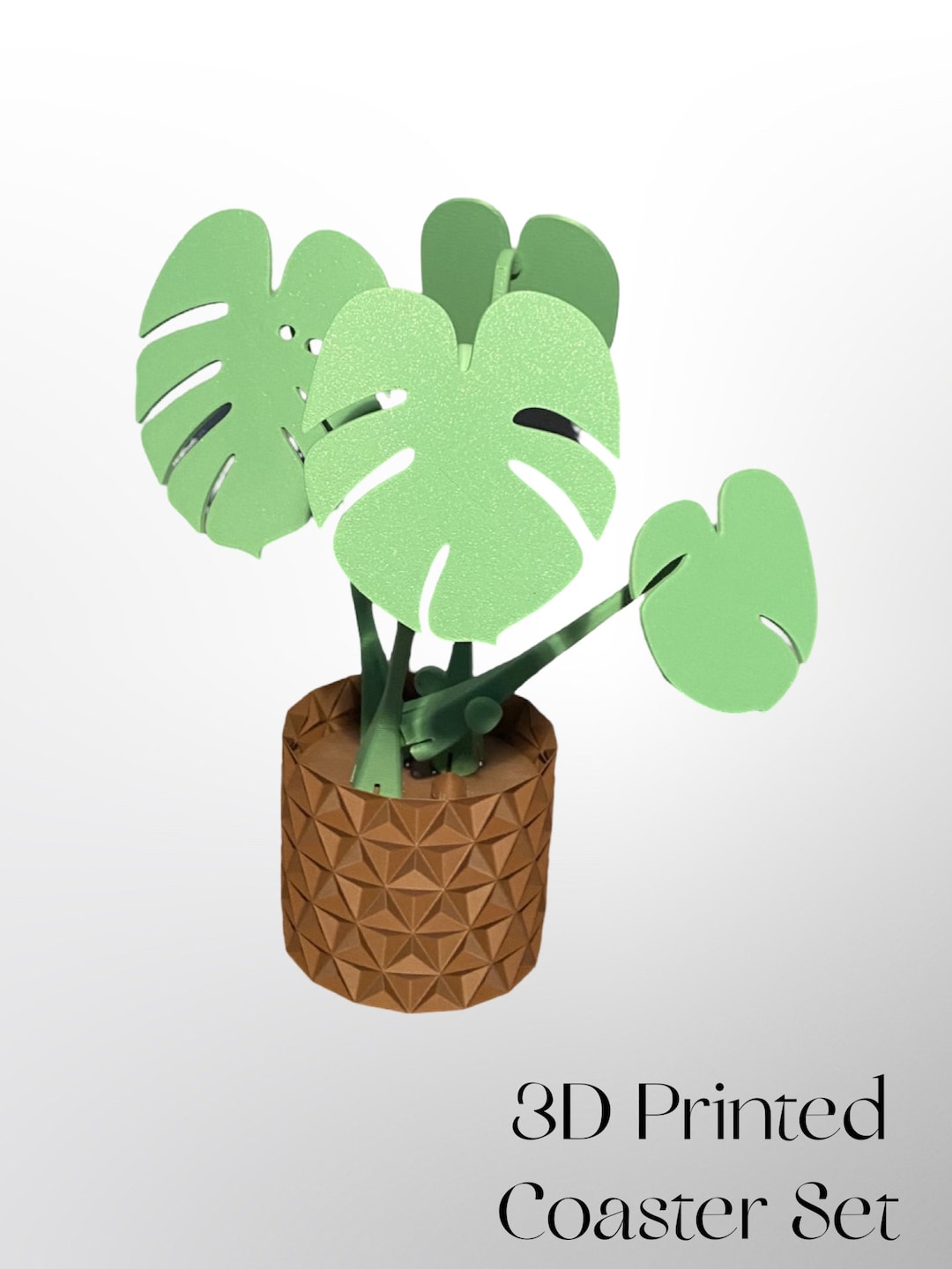 Realistic 3D Printed Monstera Coaster Set - Etsy