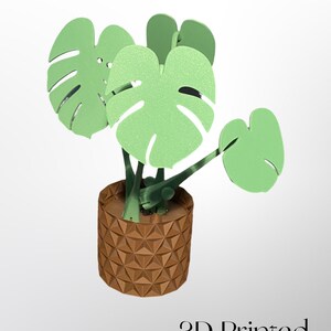 Realistic 3D Printed Monstera Coaster Set - Etsy