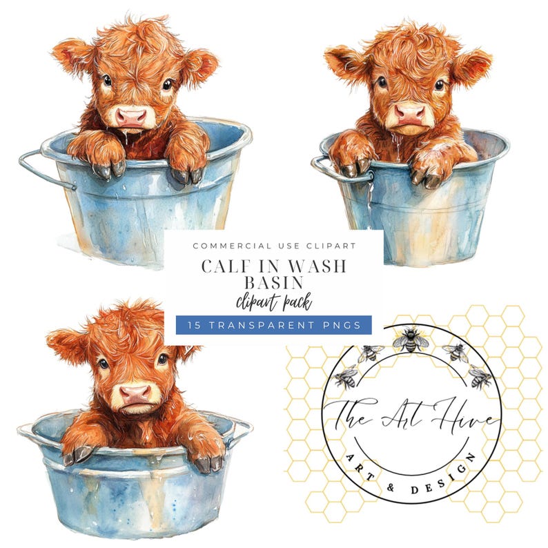 Highland Cow Calf Clipart PNG Bundle – Cute Baby Cow in Wash Tub ...