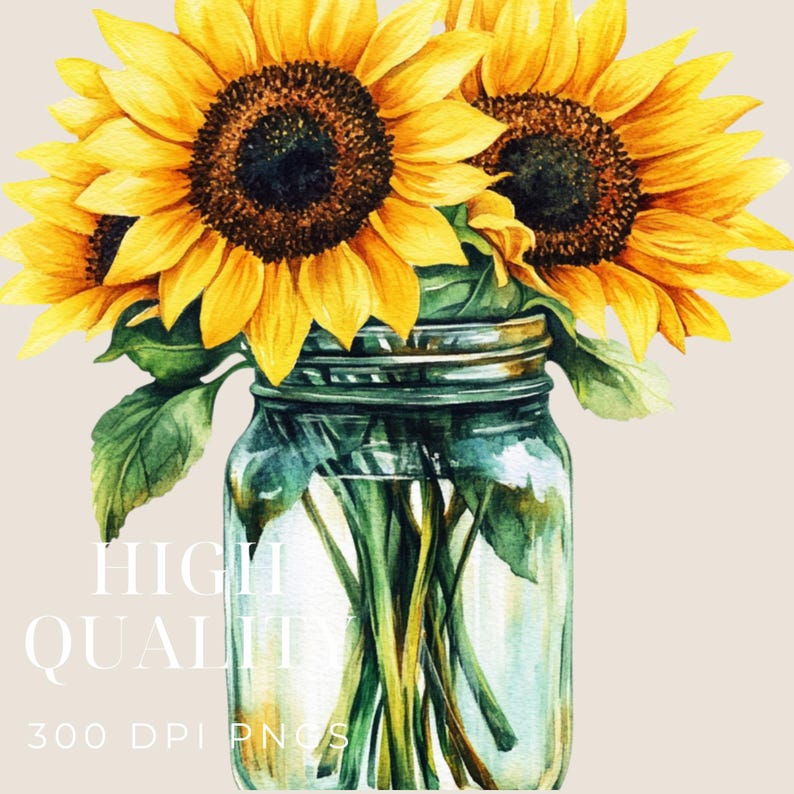 Sunflower Mason Jar Clipart PNG Bundle – Watercolor Sunflower Bouquet ...