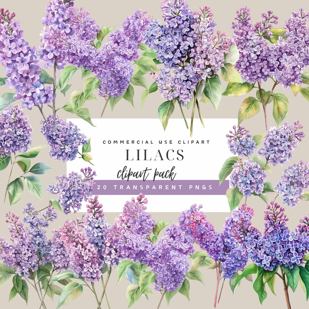 Lilac Flowers Watercolour Clipart Bundle, Invitations, Stickers, Junk ...