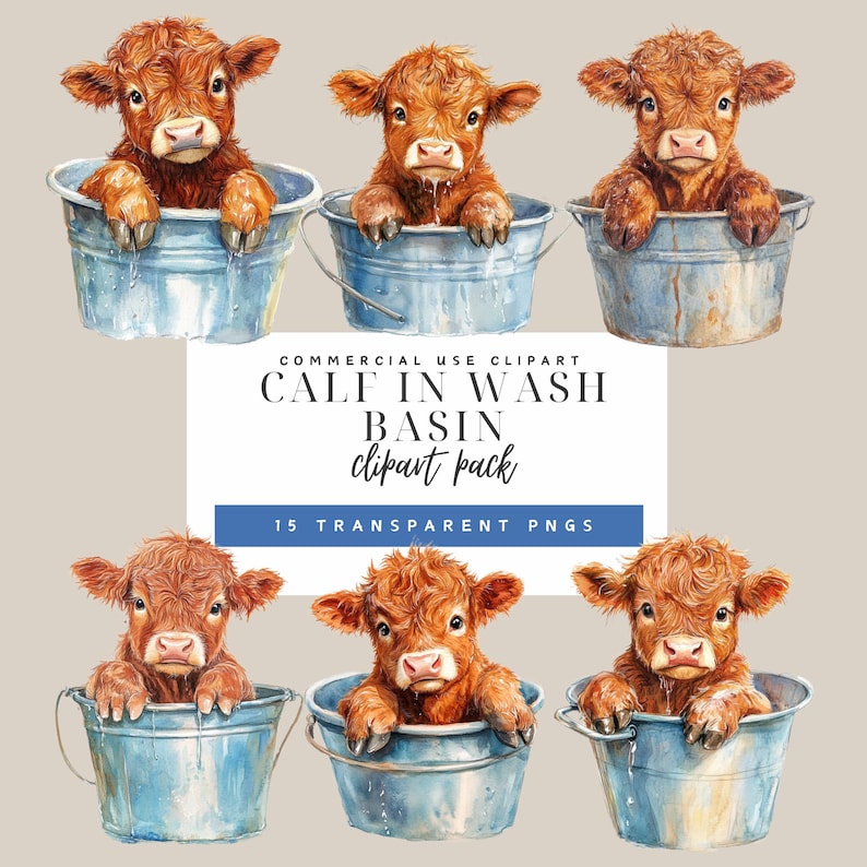 Highland Cow Calf Clipart PNG Bundle – Cute Baby Cow in Wash Tub ...