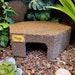 Reptile Hide Gothic Skull Lizard Enclosure Enrichment Terrarium ...