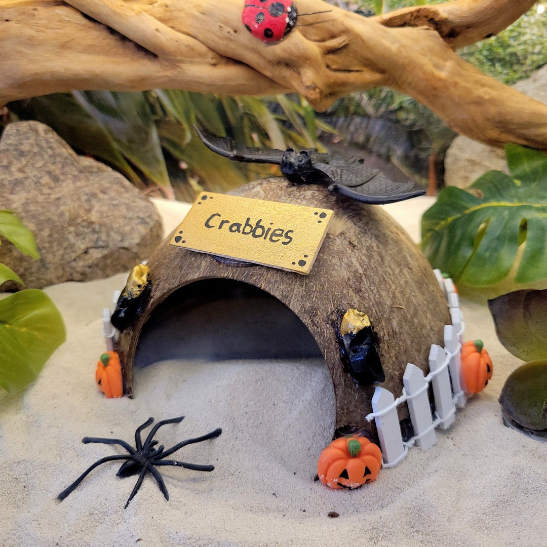 Hermit Crab Halloween Fence Pumpkin Bat Coconut Hide, Scary Gothic ...