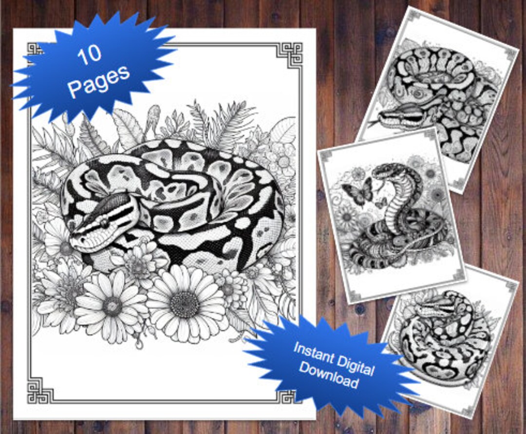 Coloring Pages Snakes Adult Coloring Book Snakes Stress Relief Cute ...