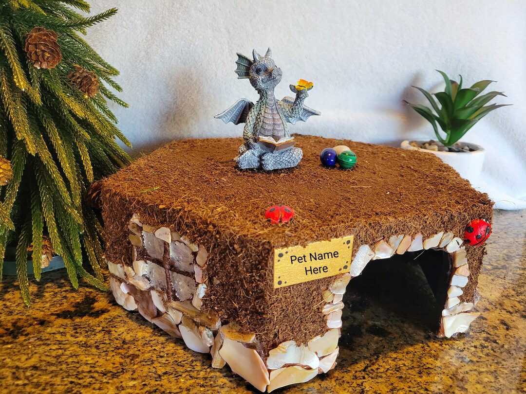 Reptile Hide Dragon Fairy Lizard Enclosure Enrichment Terrarium ...