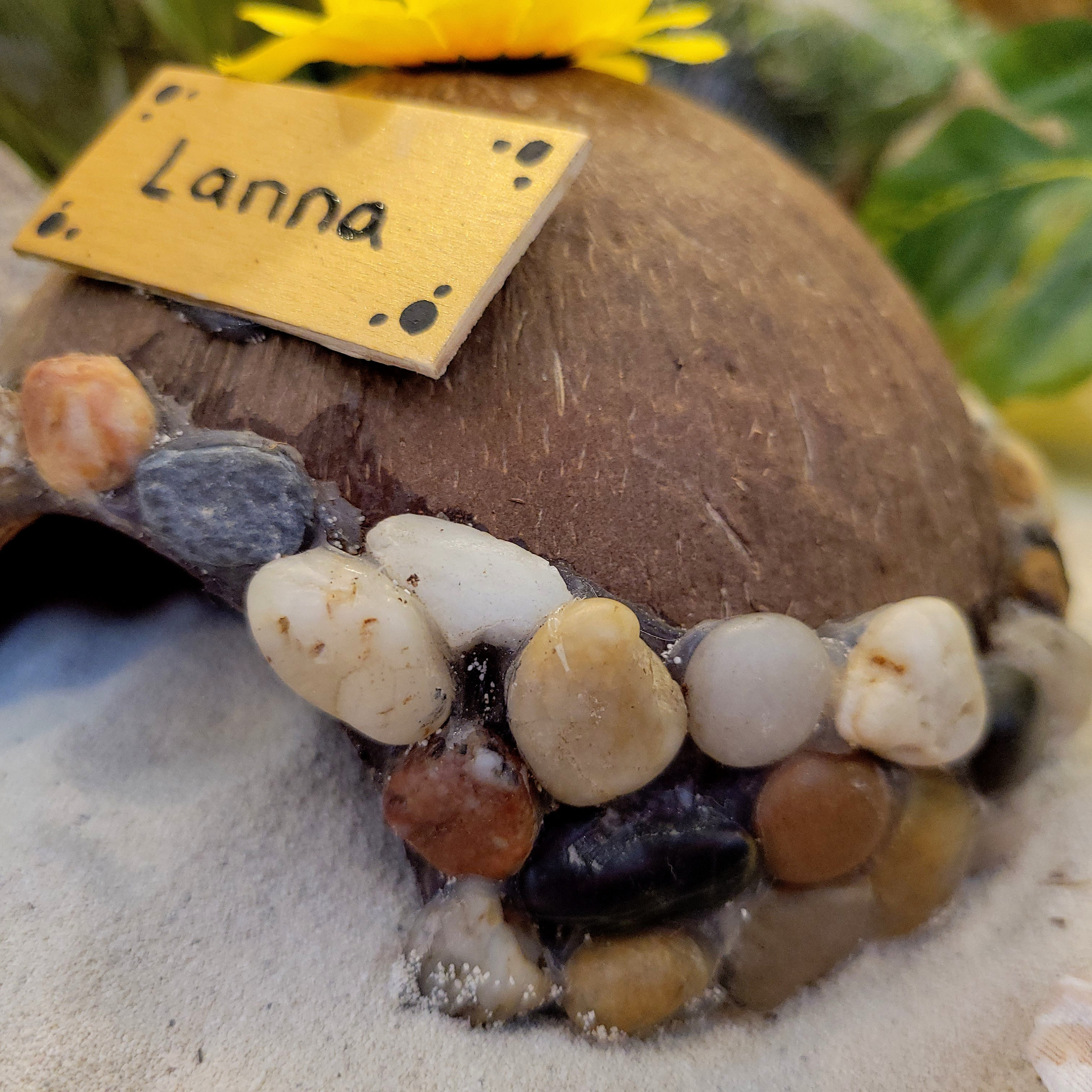 Hermit Crab Terrarium Coconut Hide, Natural Stone Handmade Reptile Home ...