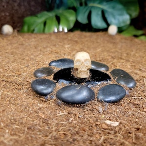 Reptile Hide Gothic Skull Lizard Enclosure Enrichment Terrarium ...