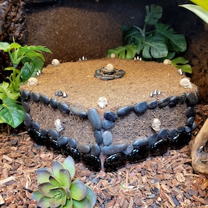 Reptile Hide Gothic Skull Lizard Enclosure Enrichment Terrarium ...