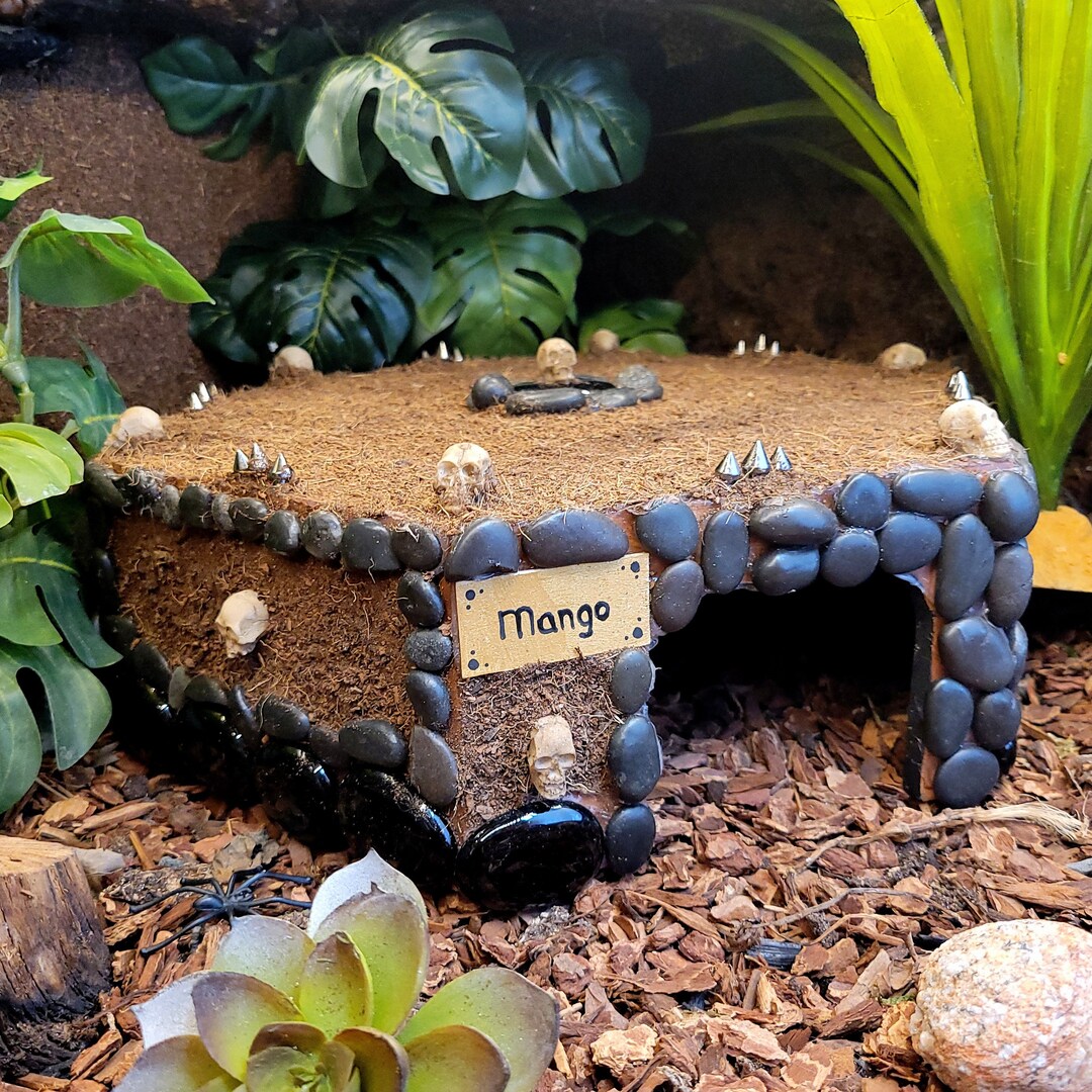 Reptile Hide Gothic Skull Lizard Enclosure Enrichment Terrarium ...