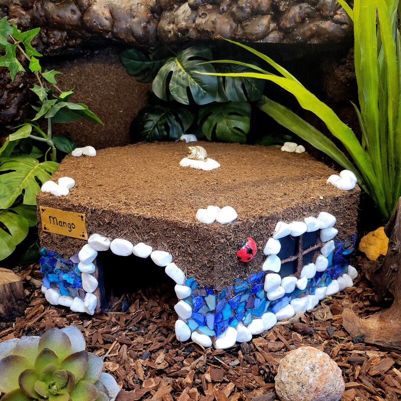 Reptile Hide - Etsy