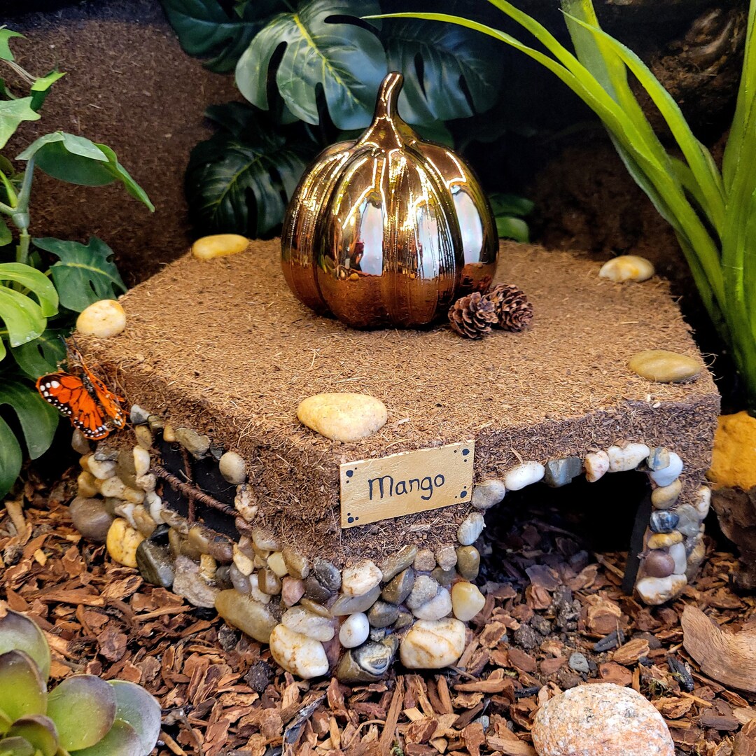 Reptile Hide Natural Stone Gold Pumpkin Lizard Enclosure Enrichment ...