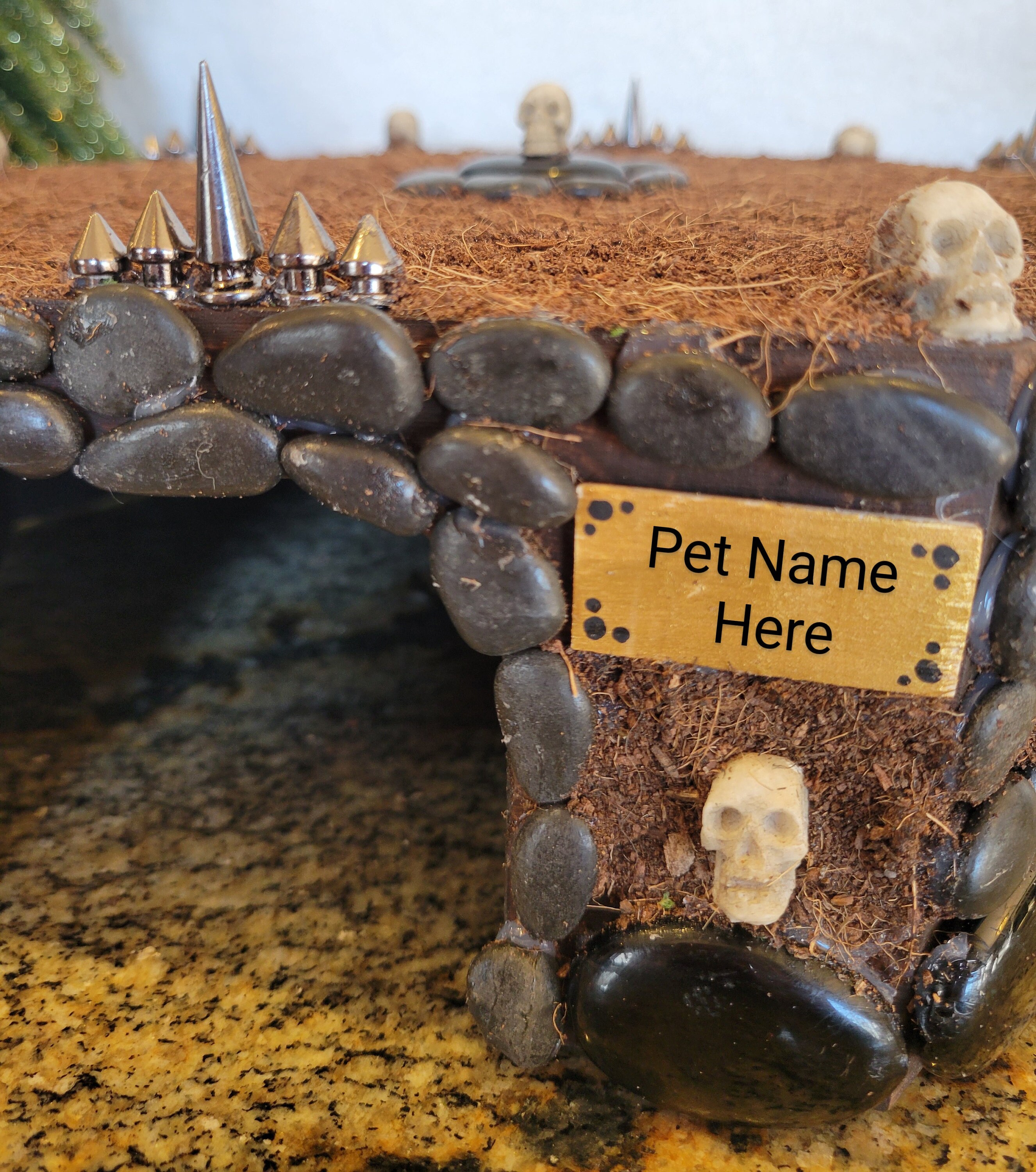 Snake Hide Gothic Skull Hide Handmade Custom Natural Reptile House ...