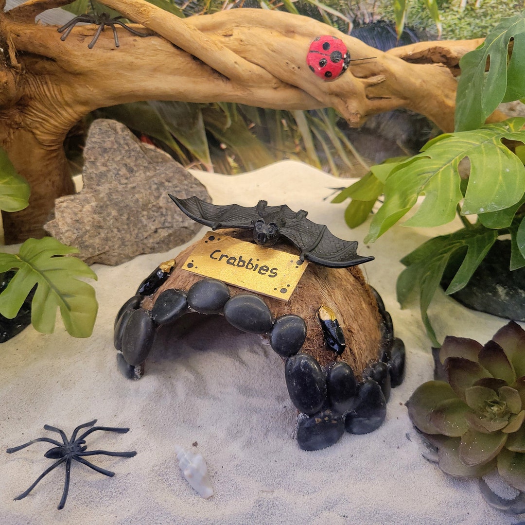 Hermit Crab Halloween Bat Stone Coconut Hide, Scary Gothic, Handmade ...