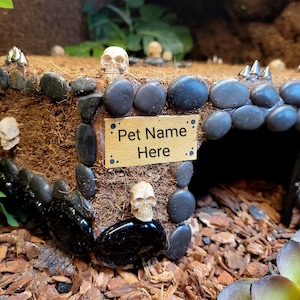 Reptile Hide Gothic Skull Lizard Enclosure Enrichment Terrarium ...