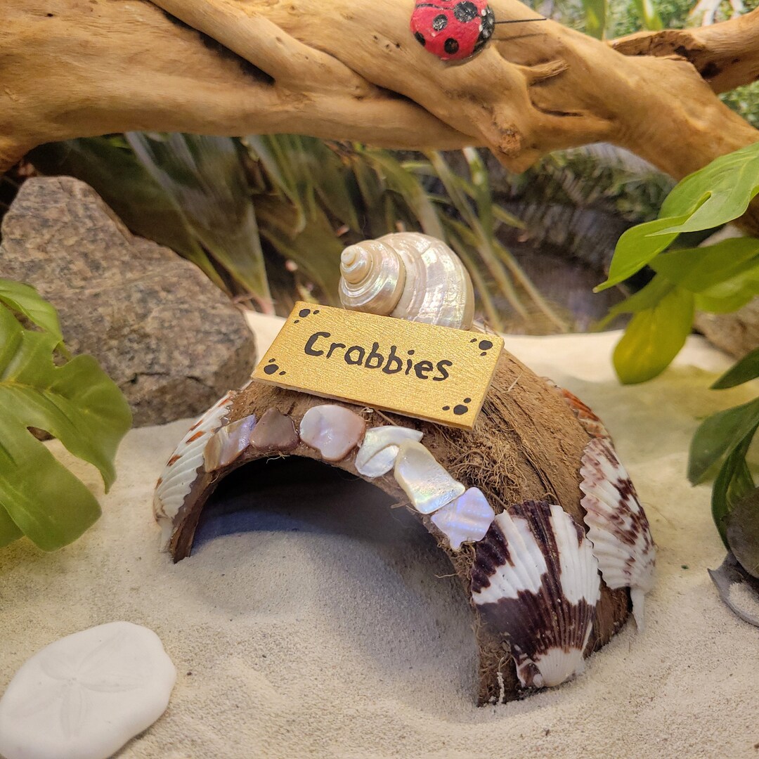 Hermit Crab Terrarium Coconut Hide, Large Shell Handmade Reptile Home ...