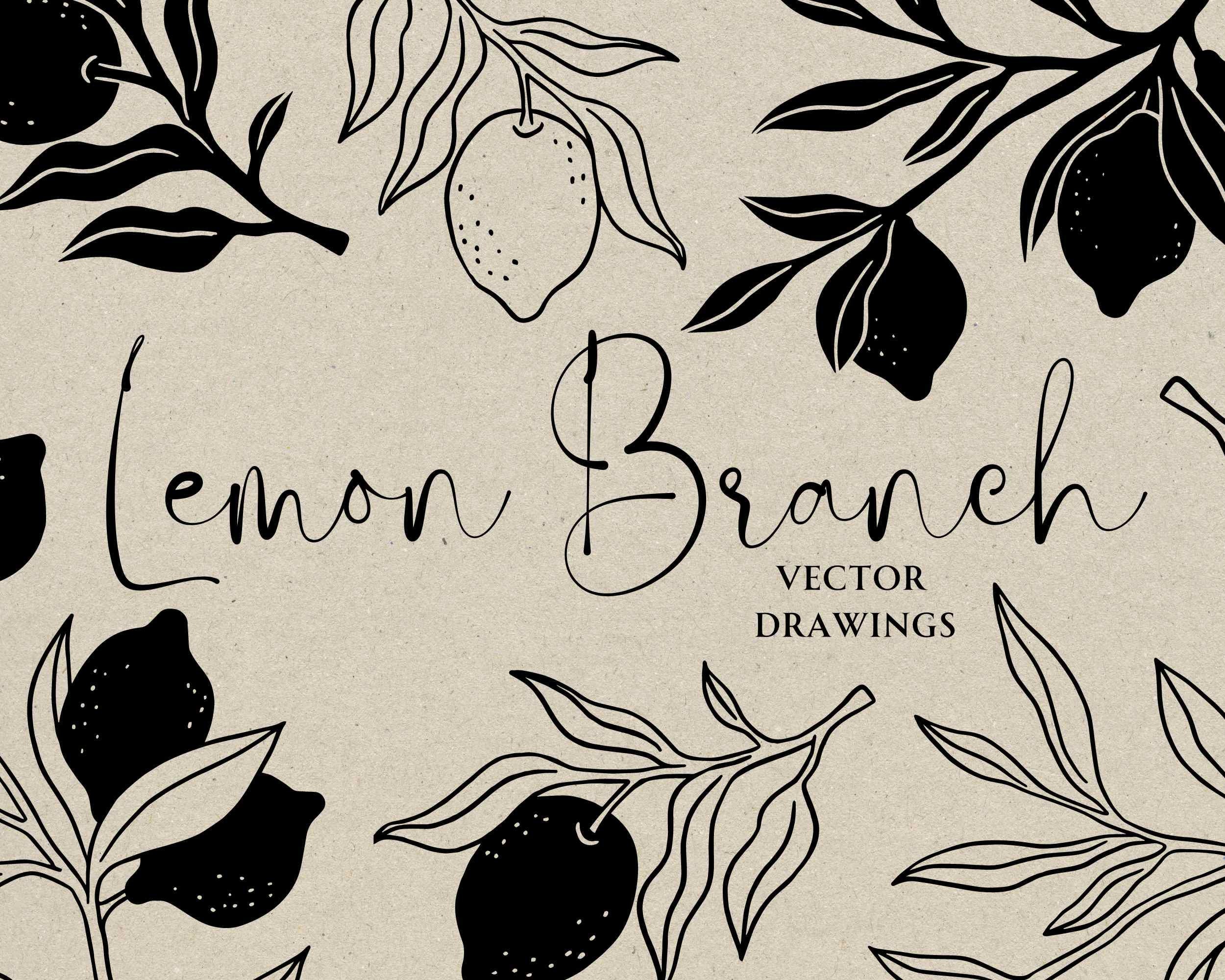 Lemon Branch Doodle Illustration SVG PNG - Hand Drawn Whimsical Fruit ...