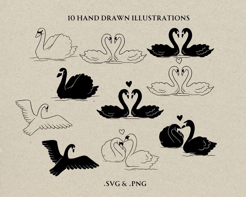 Hand Drawn Swan SVG PNG, White Swan for Wedding Vector File, Bridal ...