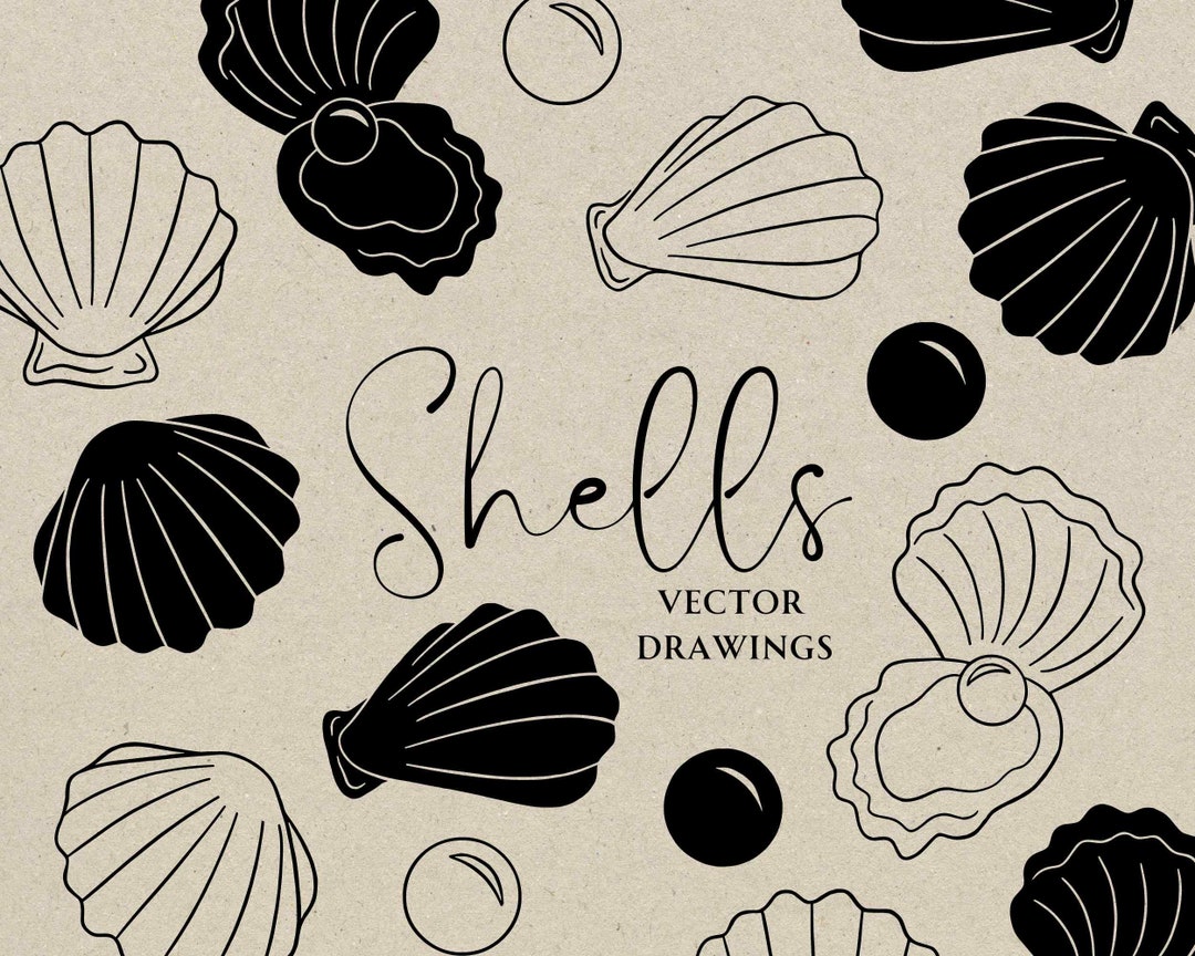 Shell Drawing Icon SVG PNG, Hand Drawn Whimsical Pearl Illustrations ...