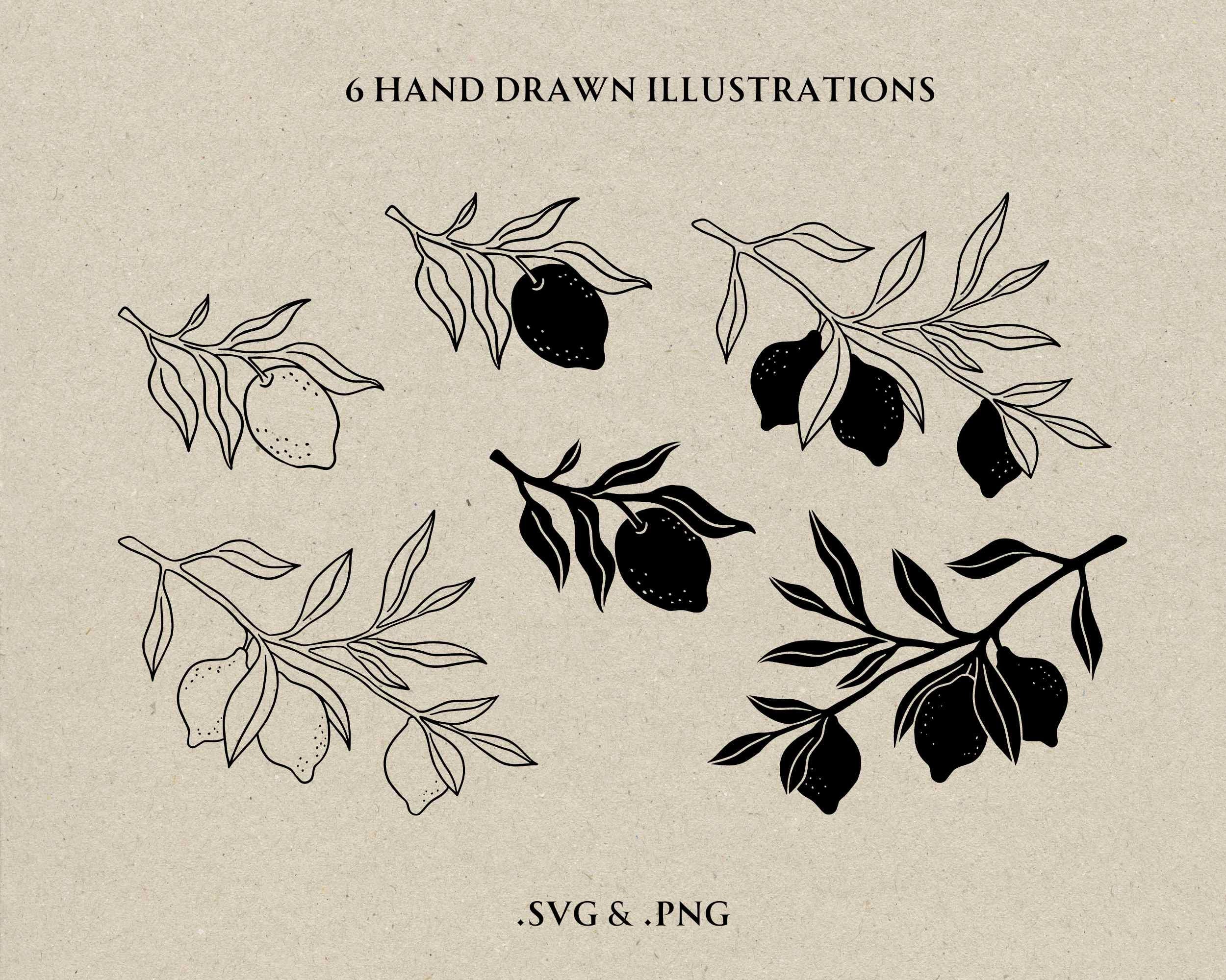 Lemon Branch Doodle Illustration SVG PNG - Hand Drawn Whimsical Fruit ...