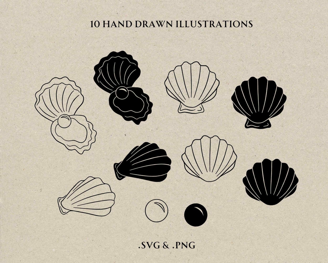 Shell Drawing Icon SVG PNG, Hand Drawn Whimsical Pearl Illustrations ...