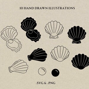 Shell Drawing Icon SVG PNG, Hand Drawn Whimsical Pearl Illustrations ...