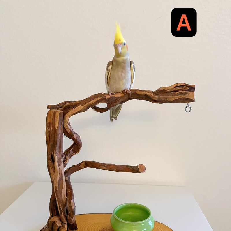 Bird Stand - Etsy