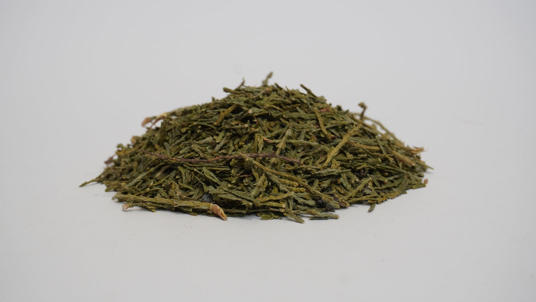 Natural CEDAR LEAF | Thuja Leaf | Dried | Wild Harvested| Tea | Herbs ...
