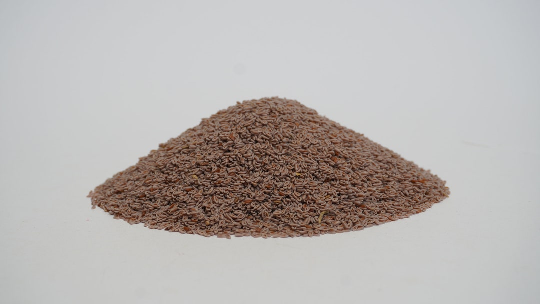 Natural Psyllium Husk Seeds | Blond Psyllium | Whole Seeds | Isabgol ...